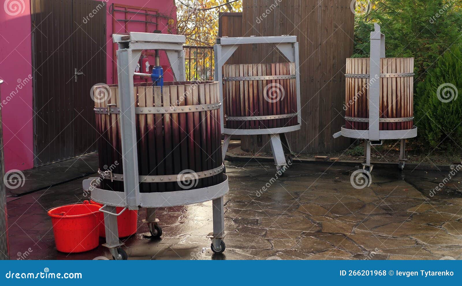 Wine Manual Press for Crushing and Pressing Grapes at the Winery. Stock ...