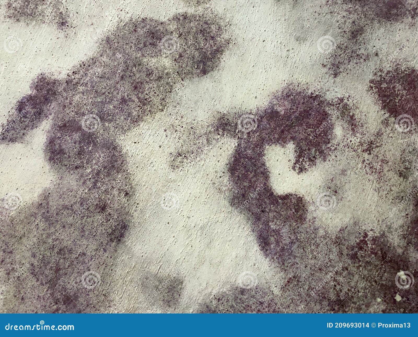 Wine Mold on the Walls and Vaults is an Important Factor in the ...