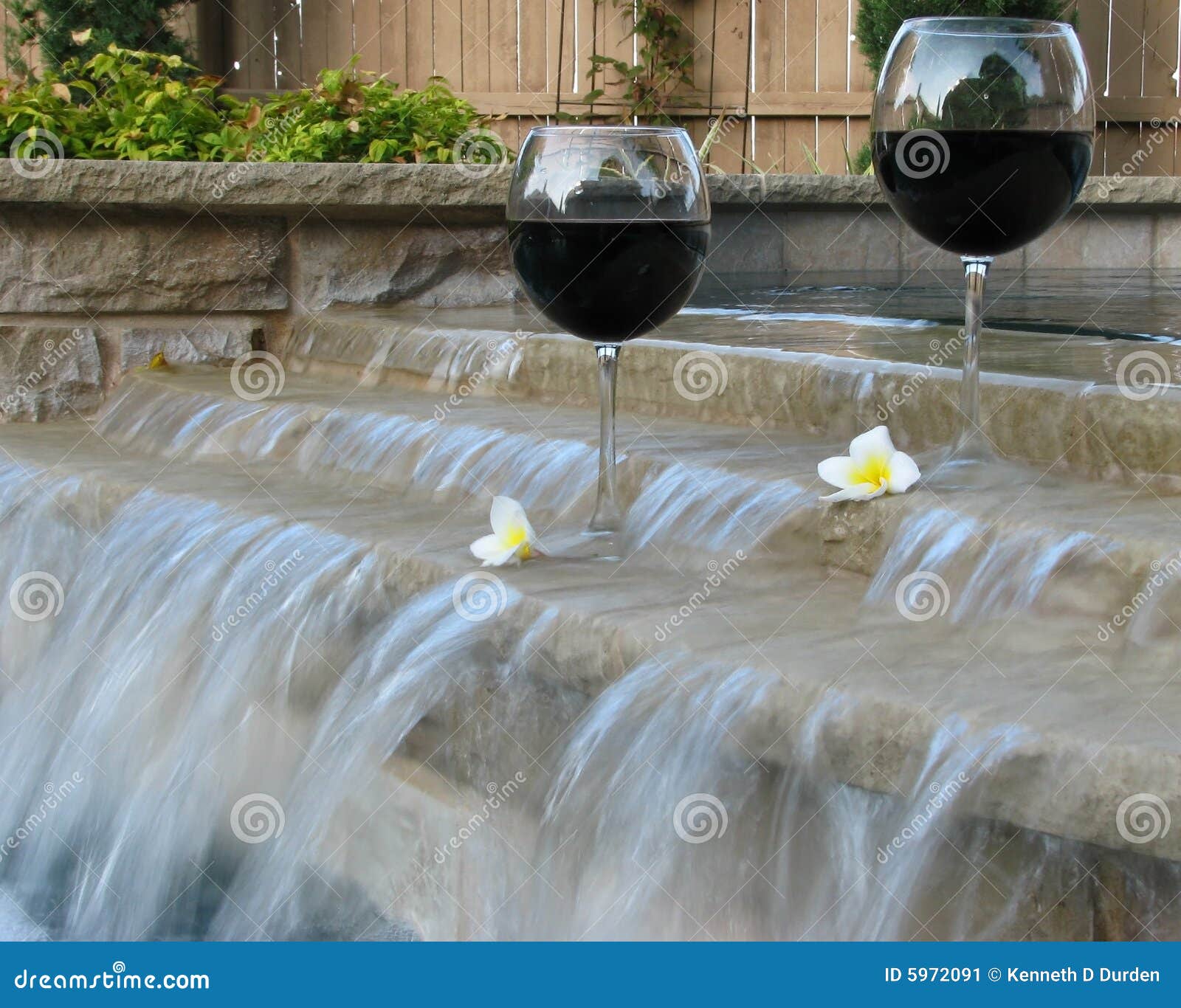 Wine and Pool stock image. Image of petal, pool, drink - 5972091