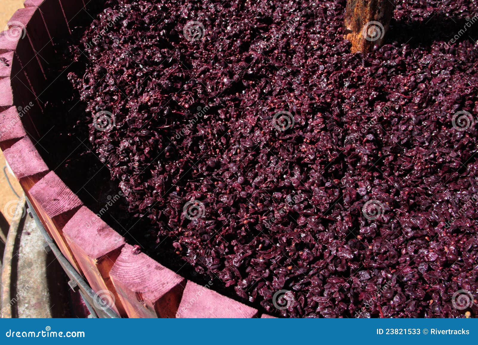 Wine Press with Red Grape Pomace Stock Image - Image of viticulture ...