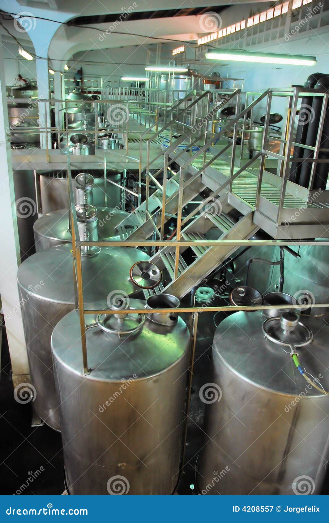 Wine production stock image. Image of plant, wine, bright - 4208557