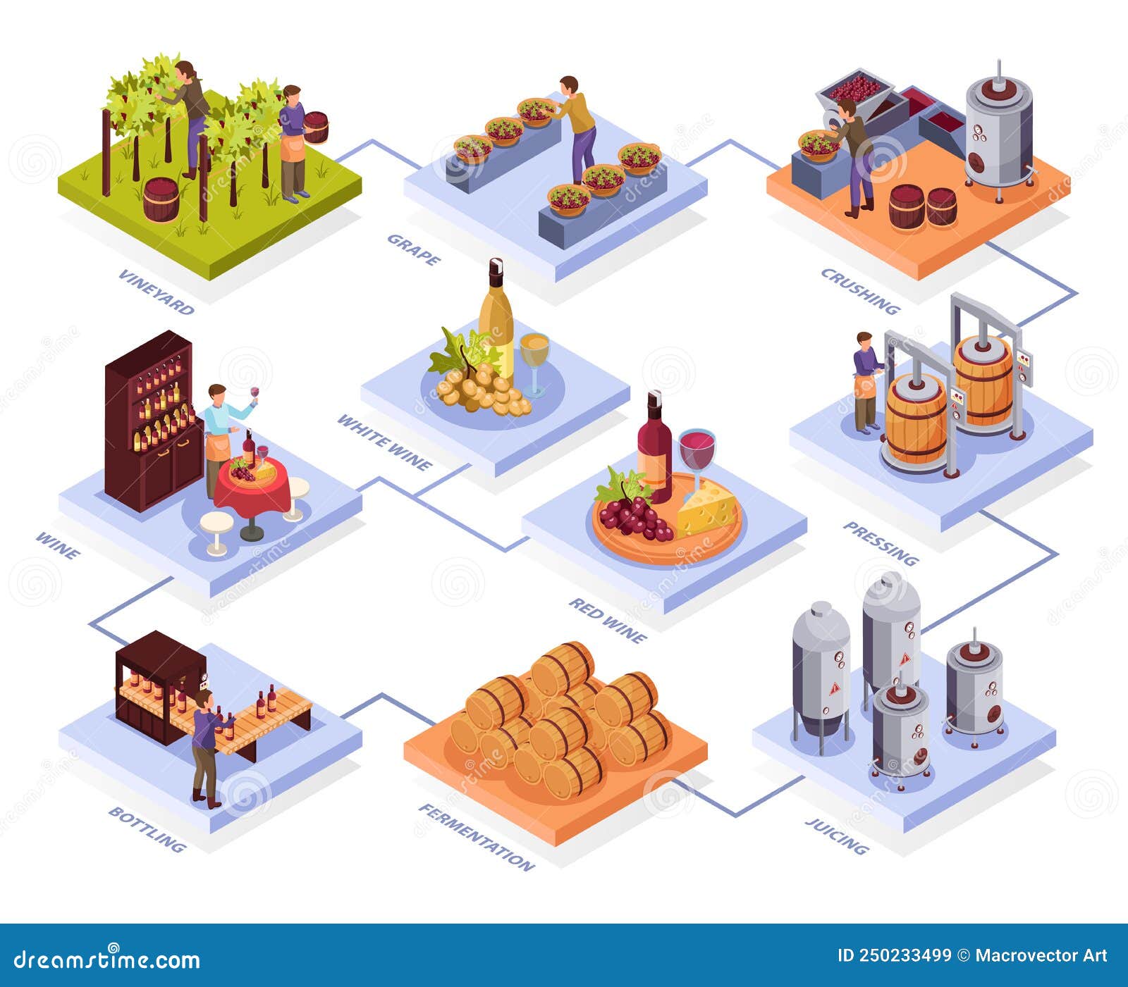 Wine Production Flowchart stock vector. Illustration of document ...