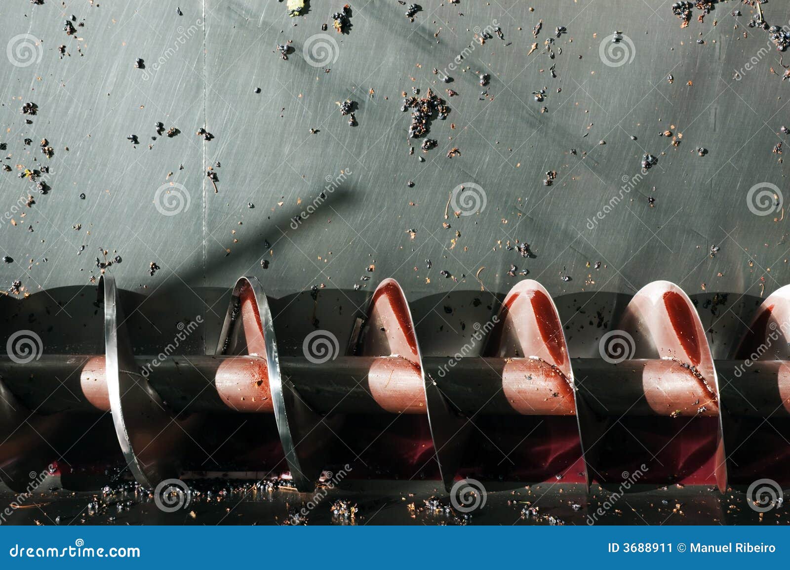 Winery Auger Stock Photo | CartoonDealer.com #15131544