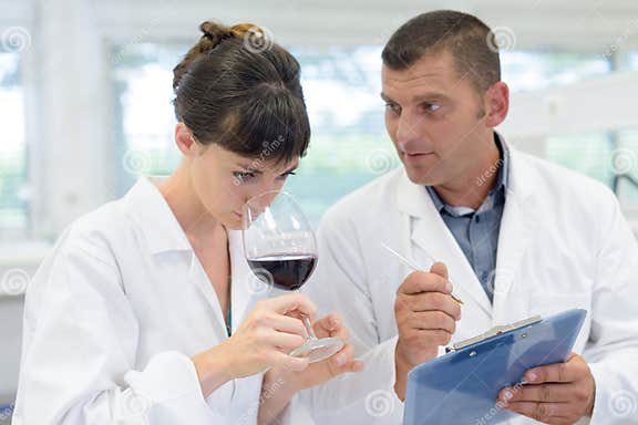 Wine quality control team stock photo. Image of quality - 285686258