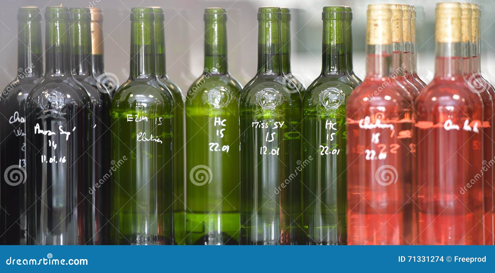 Wine Quality Control Testing in Laboratory Stock Photo - Image of ...