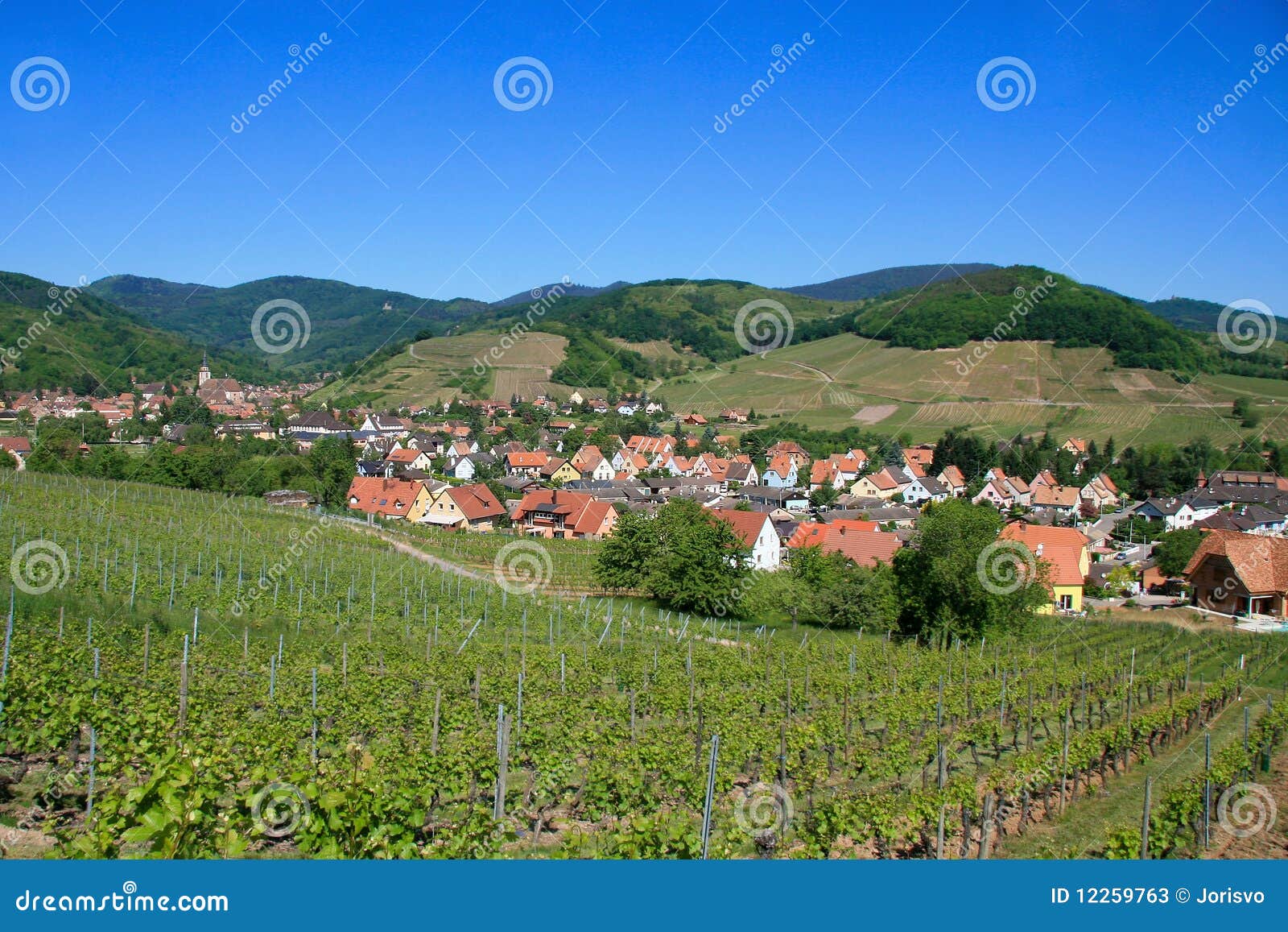 Wine Region in Alsace stock image. Image of blue, vineyard - 12259763