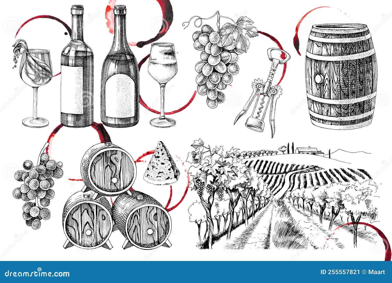 Hand Drawn Wine Set Sketches. Wine and Winemaking Stock Vector ...