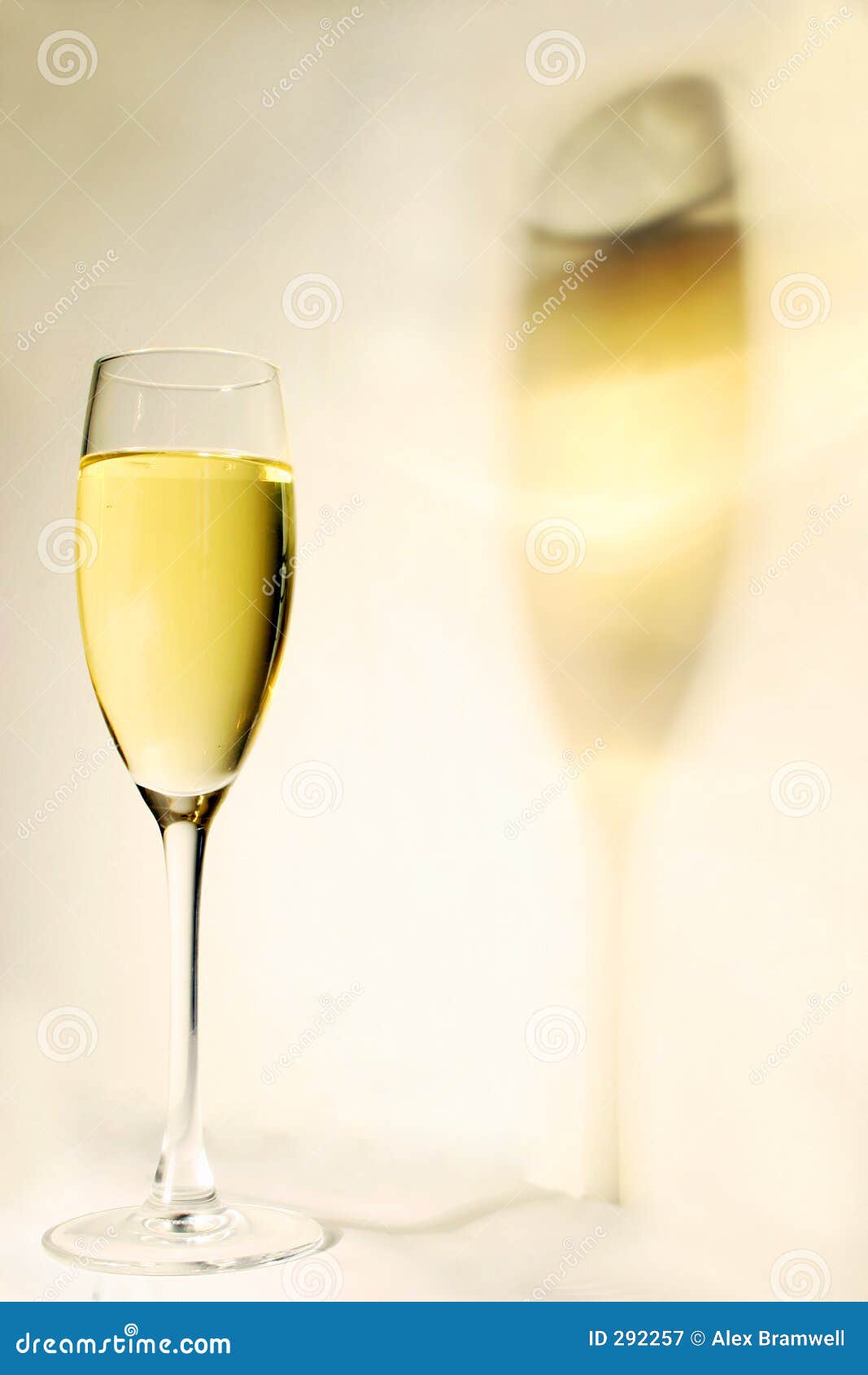 Wine Shadow stock image. Image of champagne, anniversary - 292257