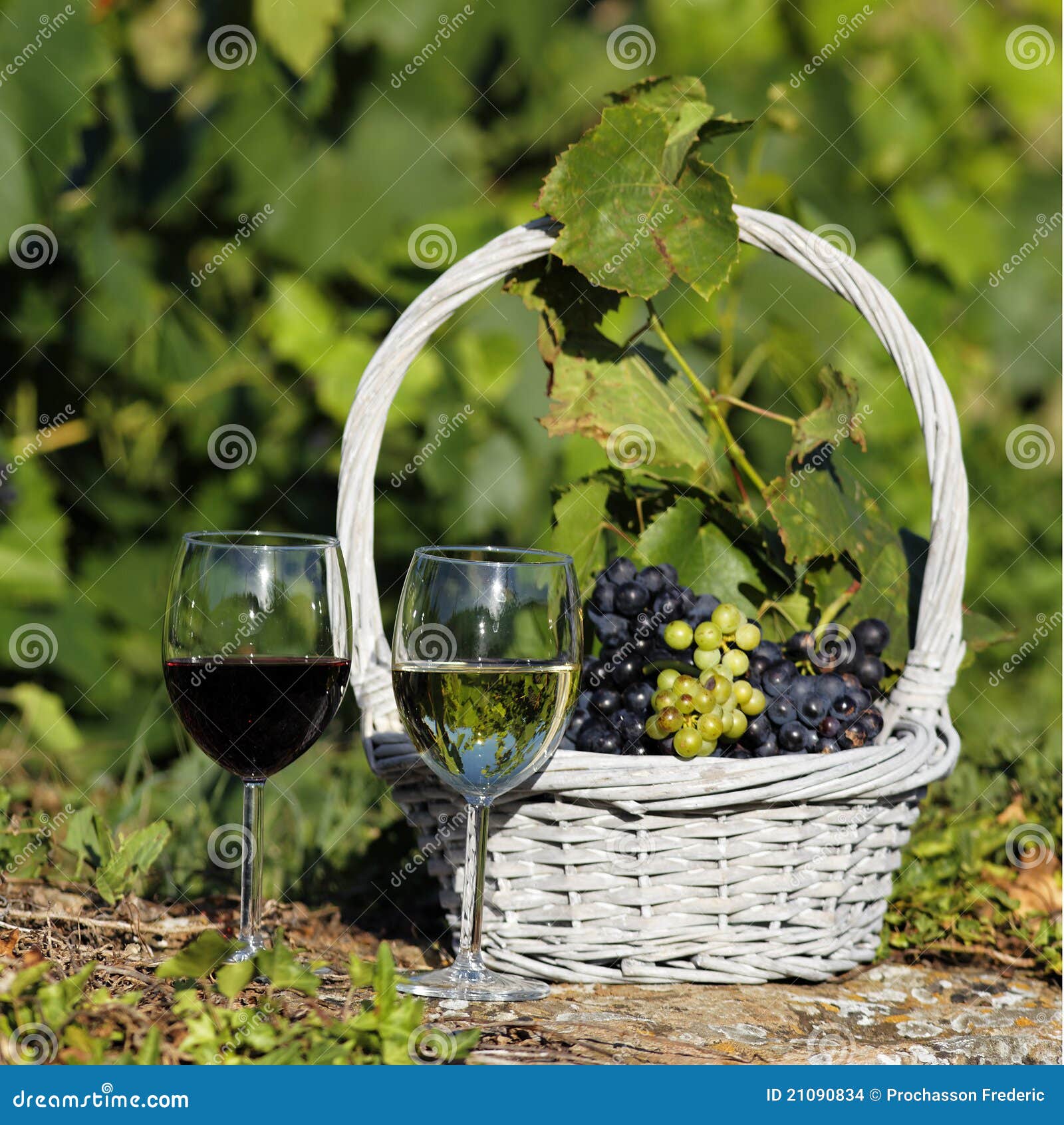 Wine square stock photo. Image of drink, fruit, grape - 21090834