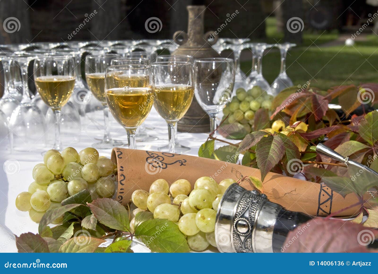 Wine on table with grape stock photo. Image of green - 14006136