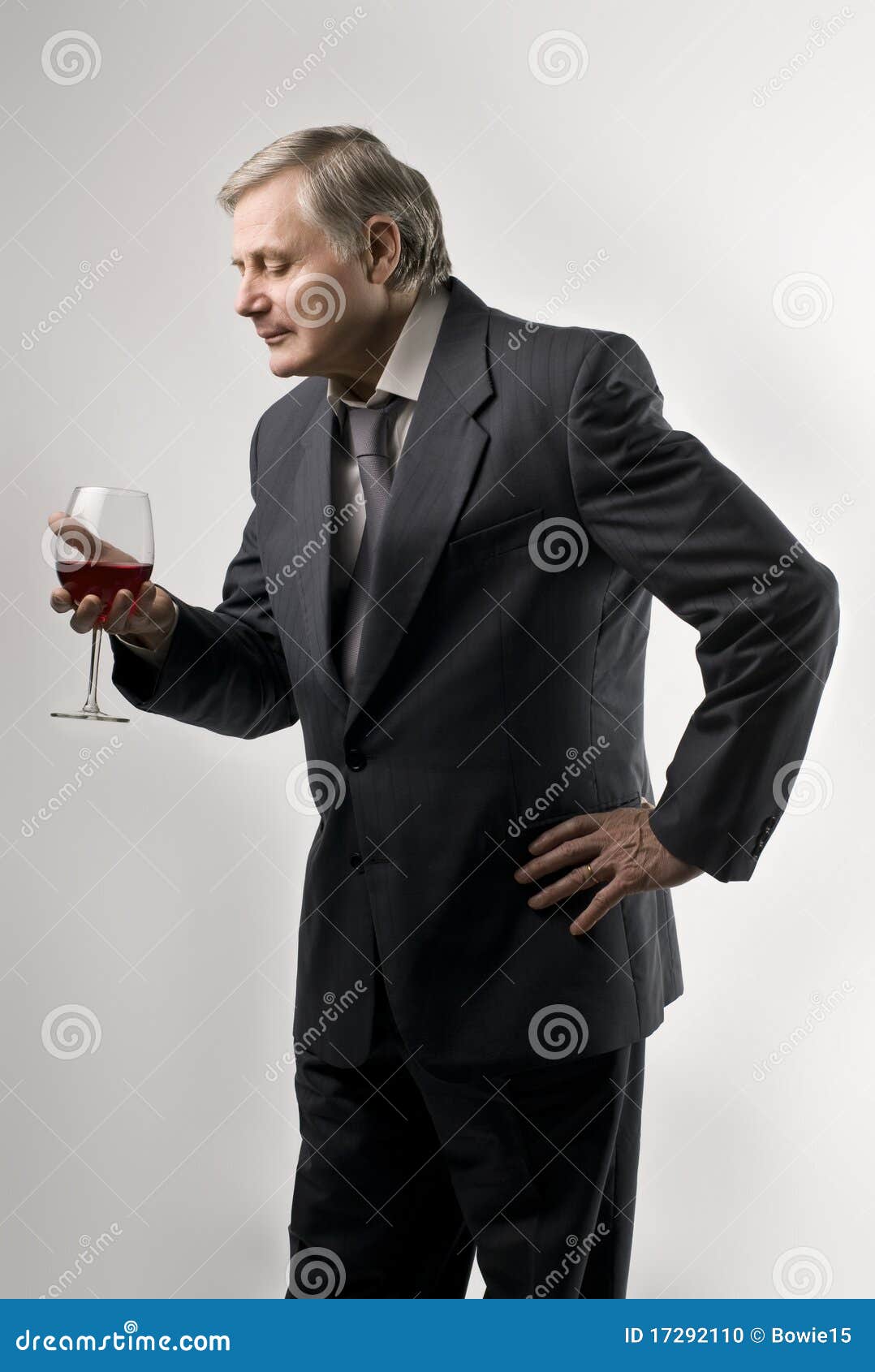 Wine taster stock photo. Image of alcohol, drink, senior - 17292110