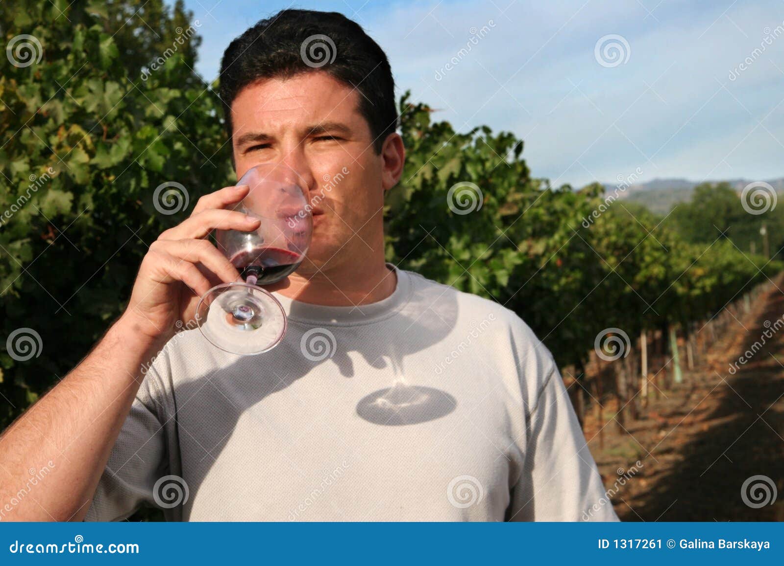 Wine tasting stock image. Image of drinking, fruit, nature - 1317261