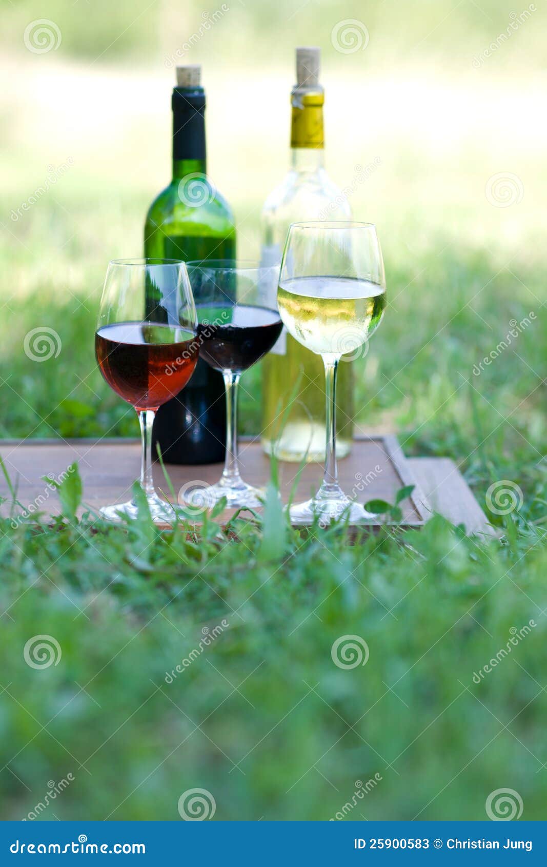 Wine tasting stock image. Image of vineyard, white, flavor - 25900583