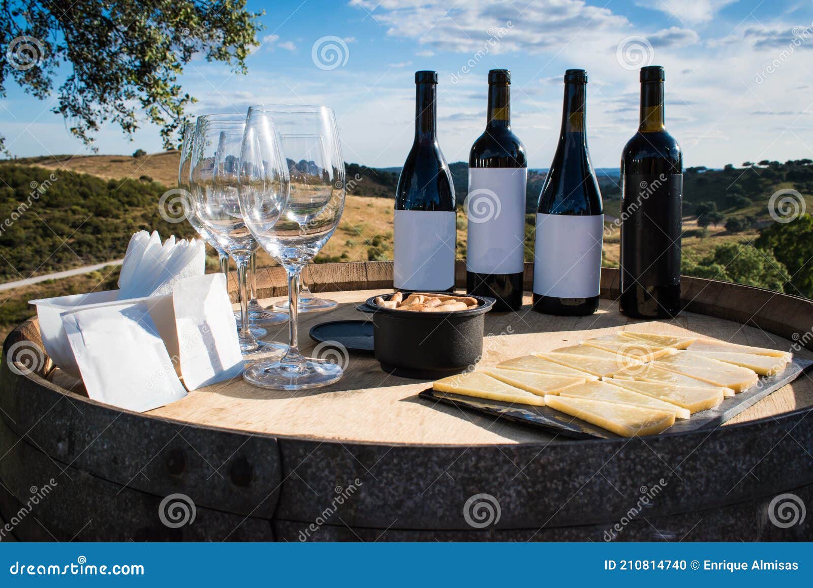 Wine Tasting on a Barrel in a Vineyard Stock Photo - Image of winery ...