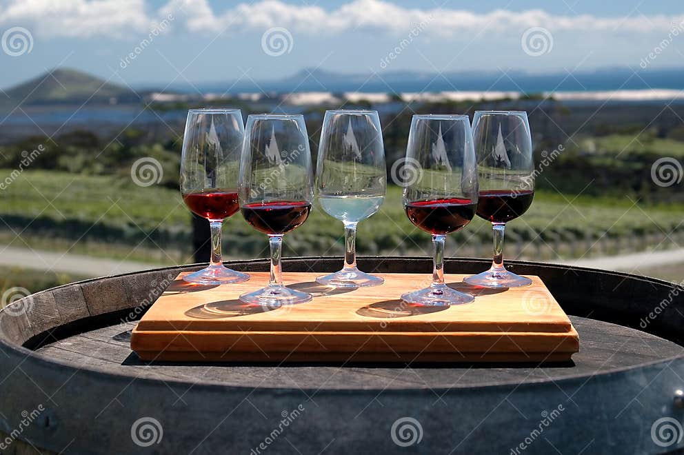 Wine Tasting - Vineyard stock photo. Image of five, tray - 610474