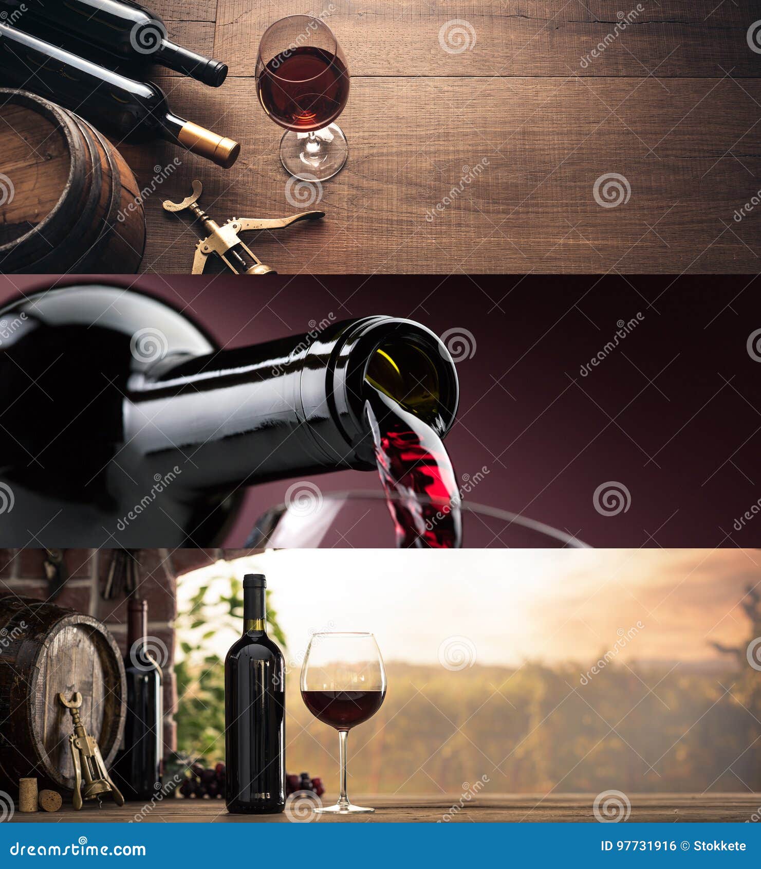 Wine Tasting and Winemaking Stock Photo - Image of countryside ...