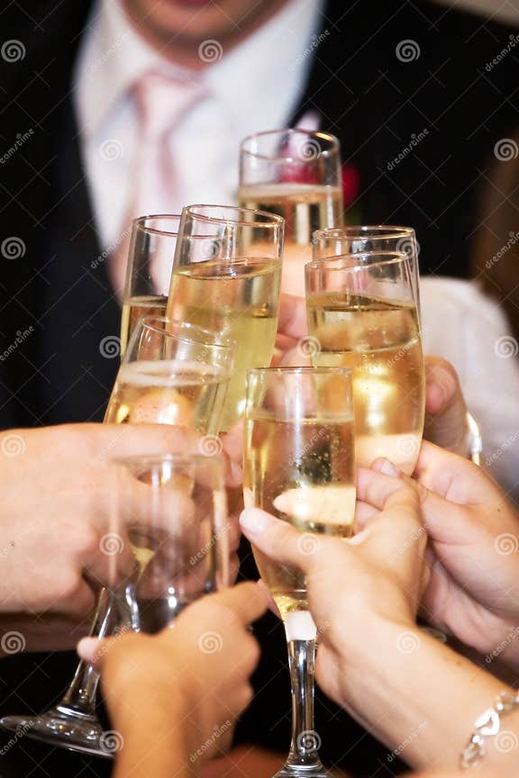 Wine toast stock photo. Image of toast, drinking, group - 3996118