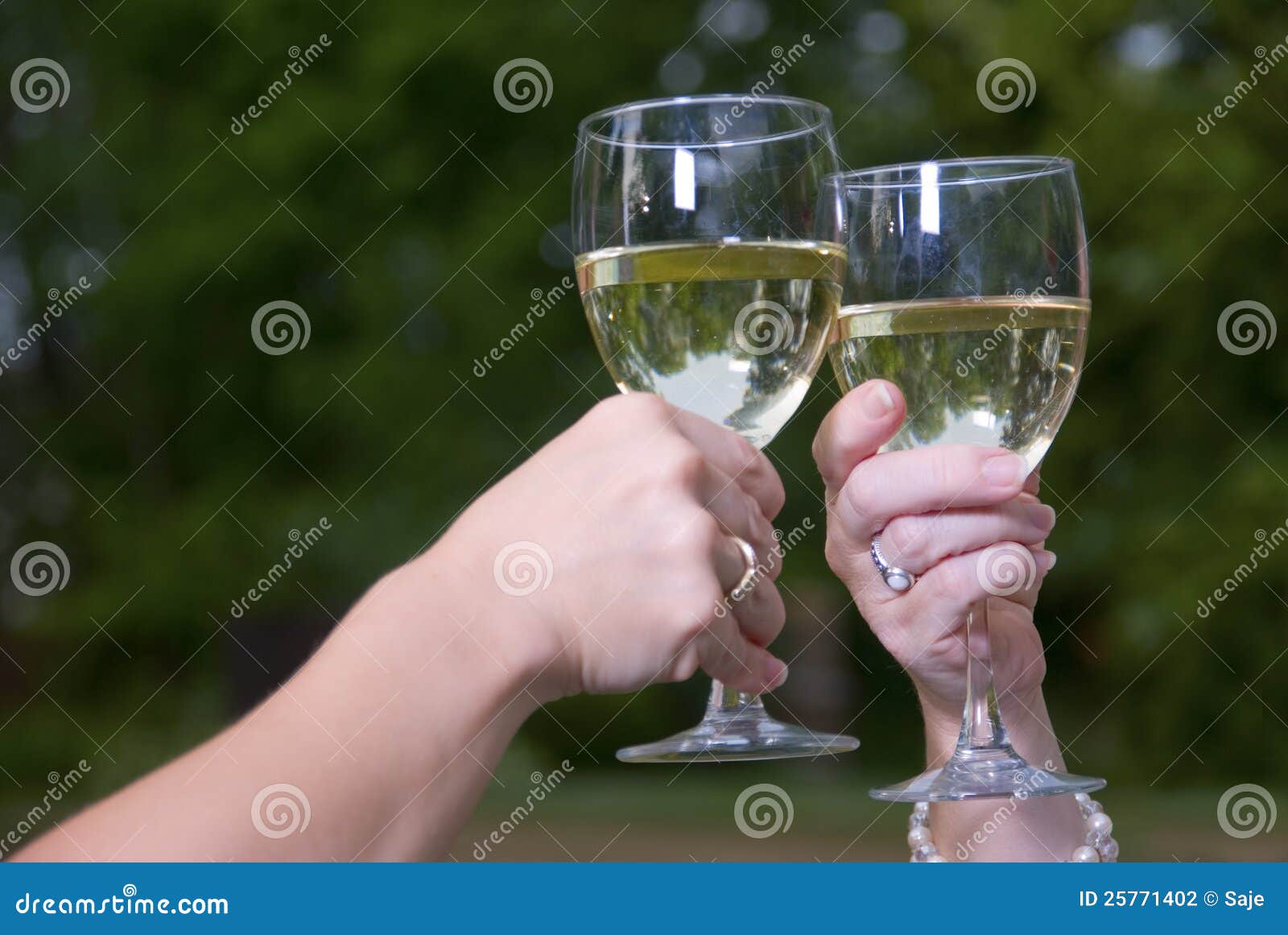 Wine Toast Glasses and Chardonnay Outdoors Stock Photo - Image of gold ...