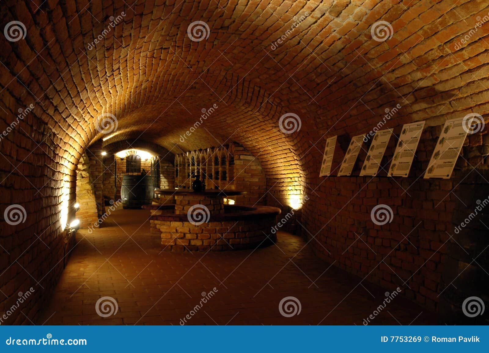 Wine-vault stock image. Image of vault, underground, feeder - 7753269