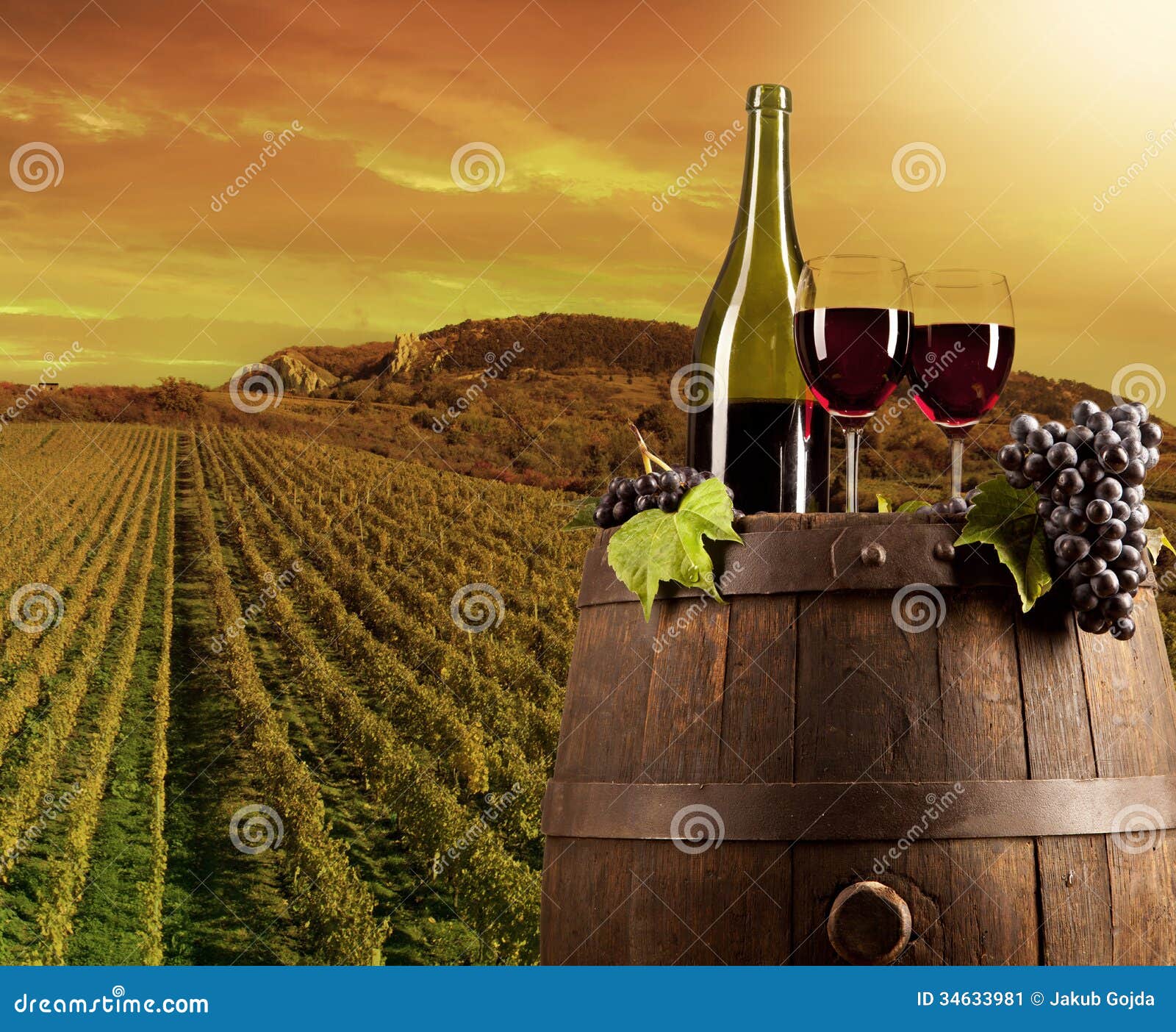 Wine Vineyard Wallpaper