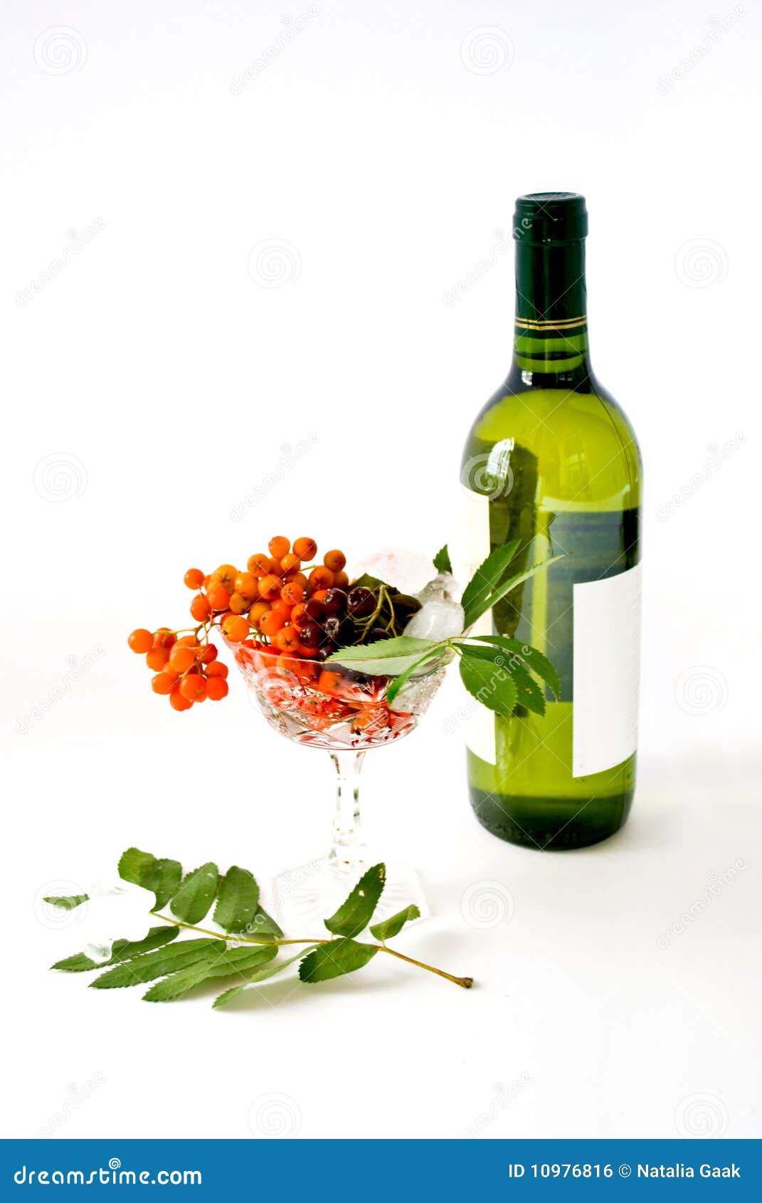 Wine and wild ash stock photo. Image of dinner, cork - 10976816