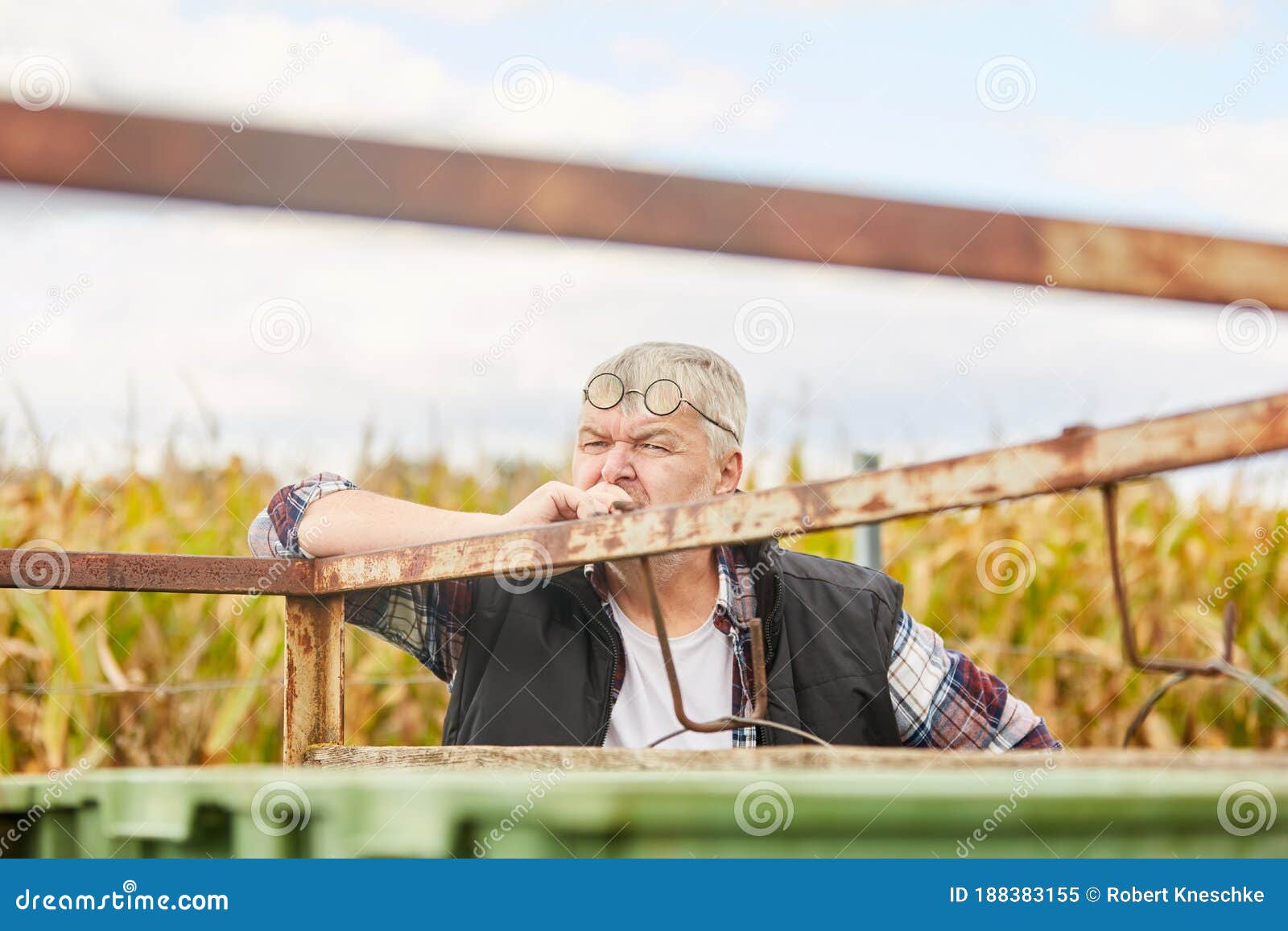 Winegrower or Farmer Thinking Stock Image - Image of harvest, tuscany ...