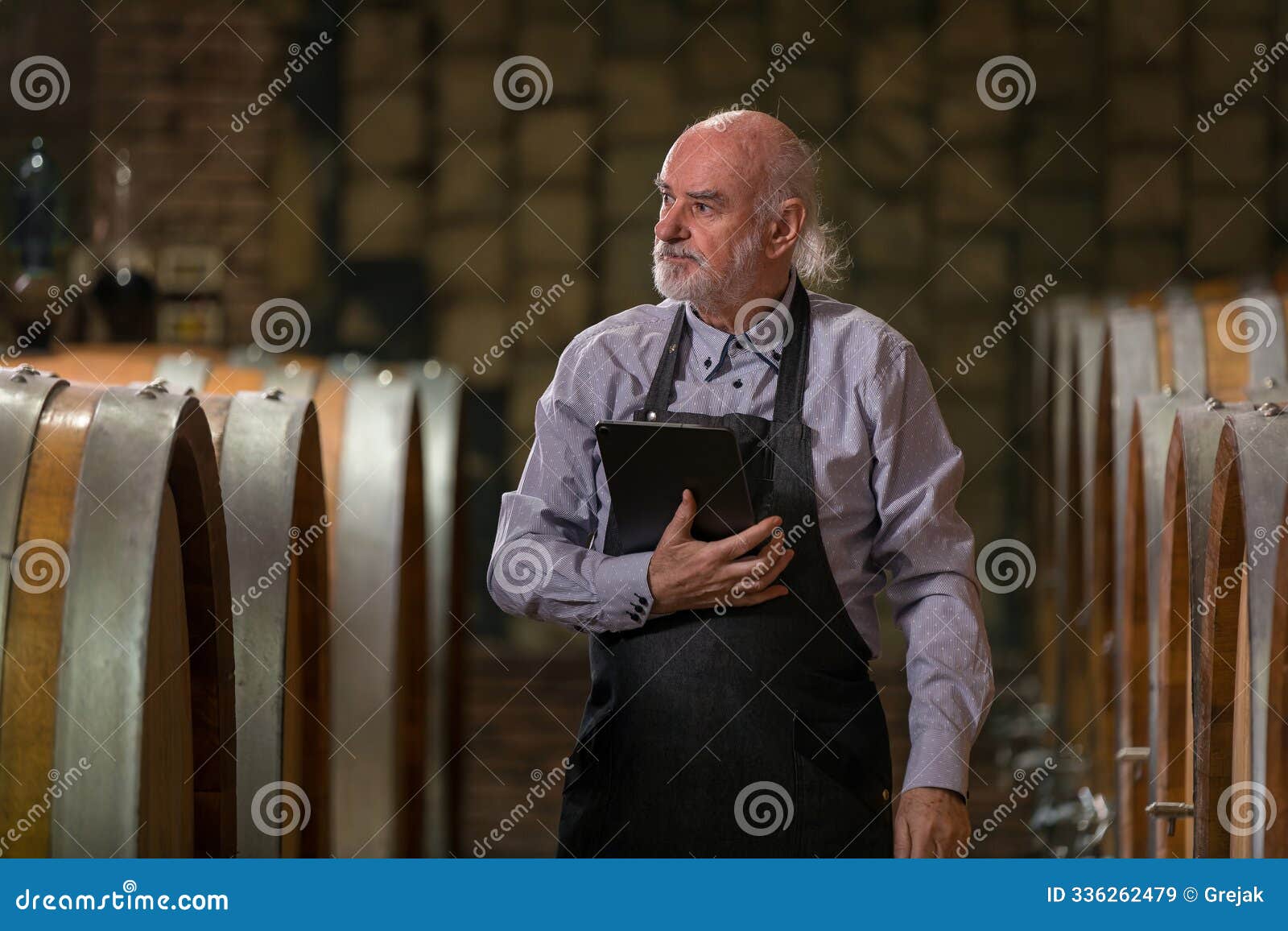 Winemaker Checking a Wine Aging in Barrels Data, Using a Touchpad ...