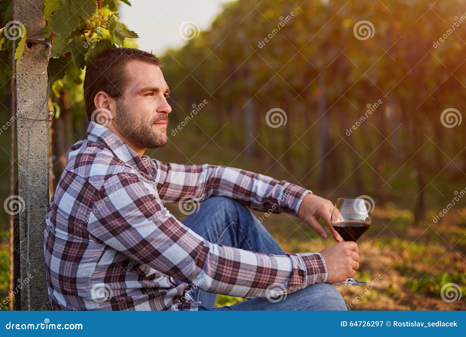 Winemaker with a Glass of Red Wine Stock Image - Image of outdoors ...