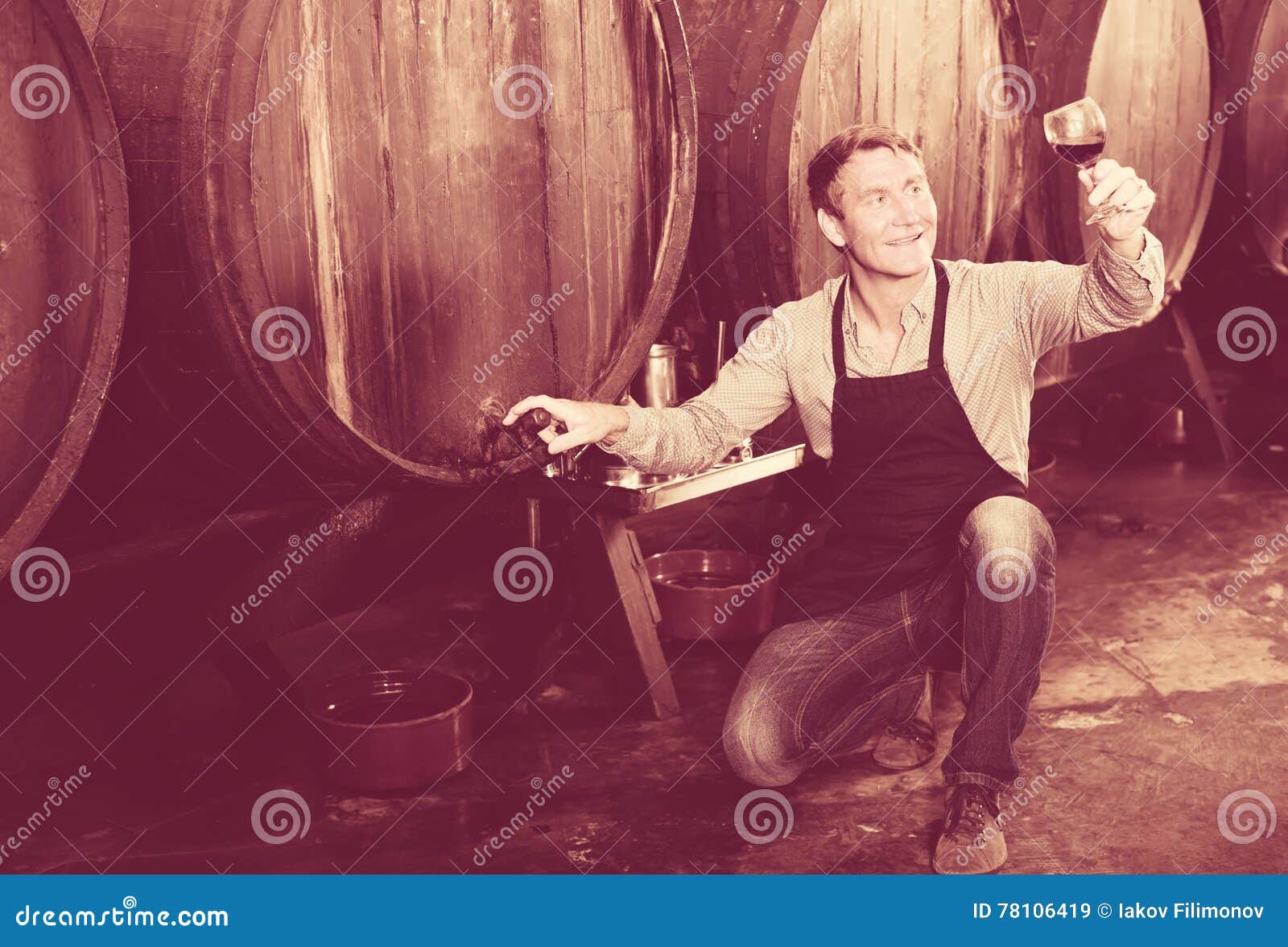 Winemaker Holding Glass of Wine in Cellar Stock Image - Image of ...