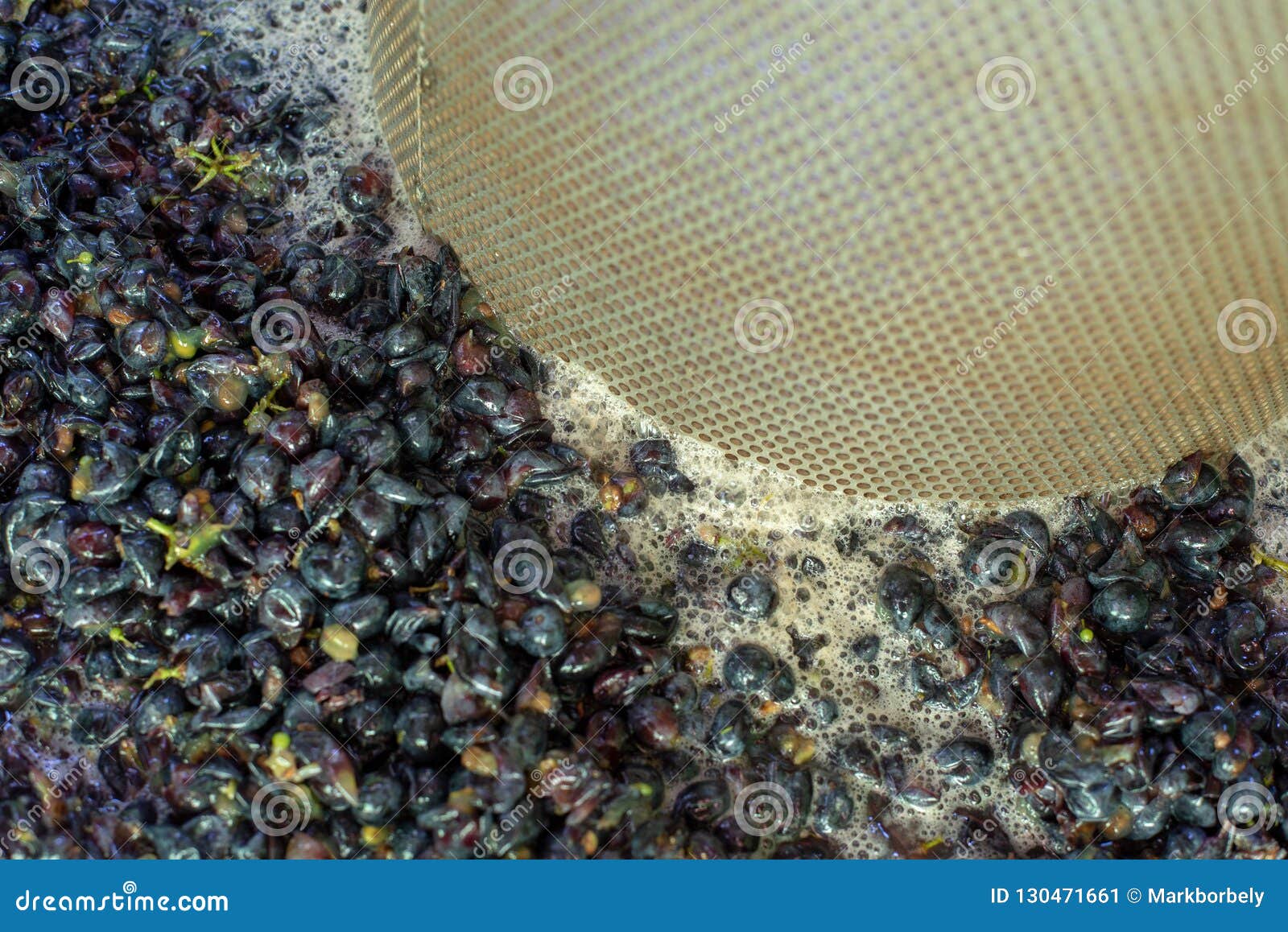 Winemaking. Fermentation of Blue Grape Must. Stock Image - Image of ...