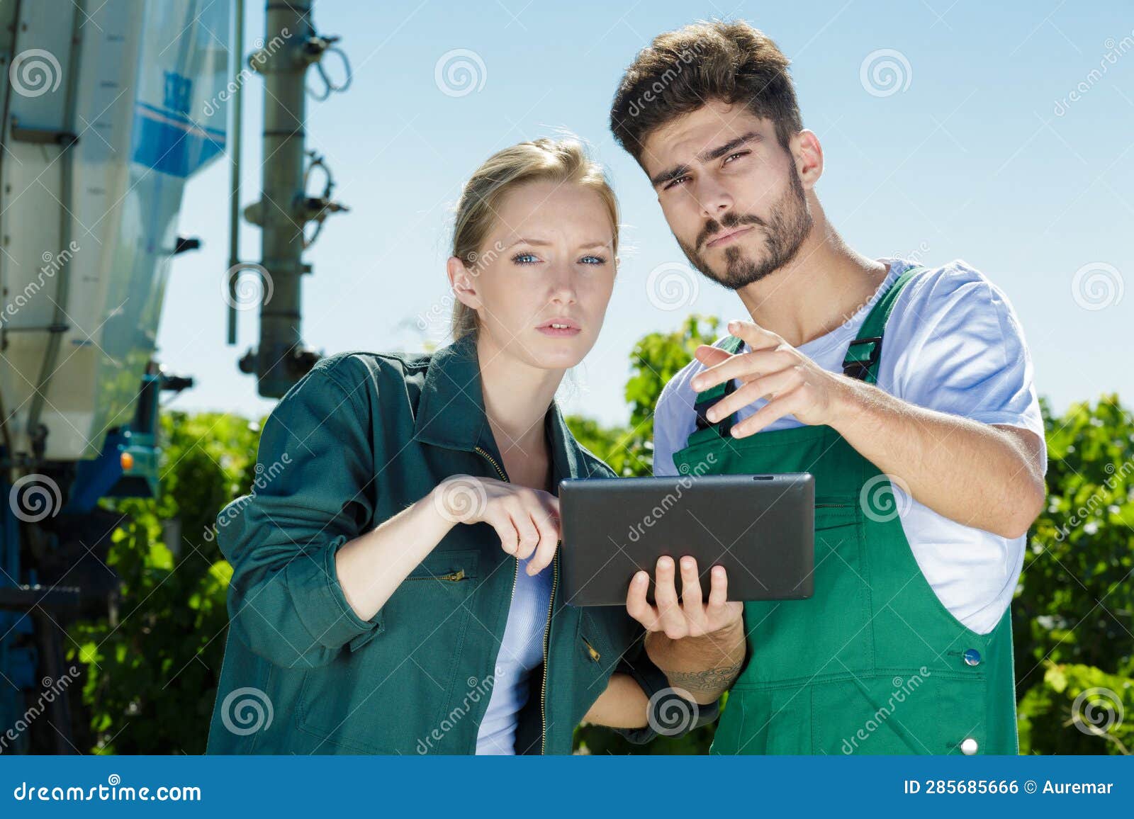 Winemarkers in Vine Rows Checking Grapes Quality Stock Photo - Image of ...