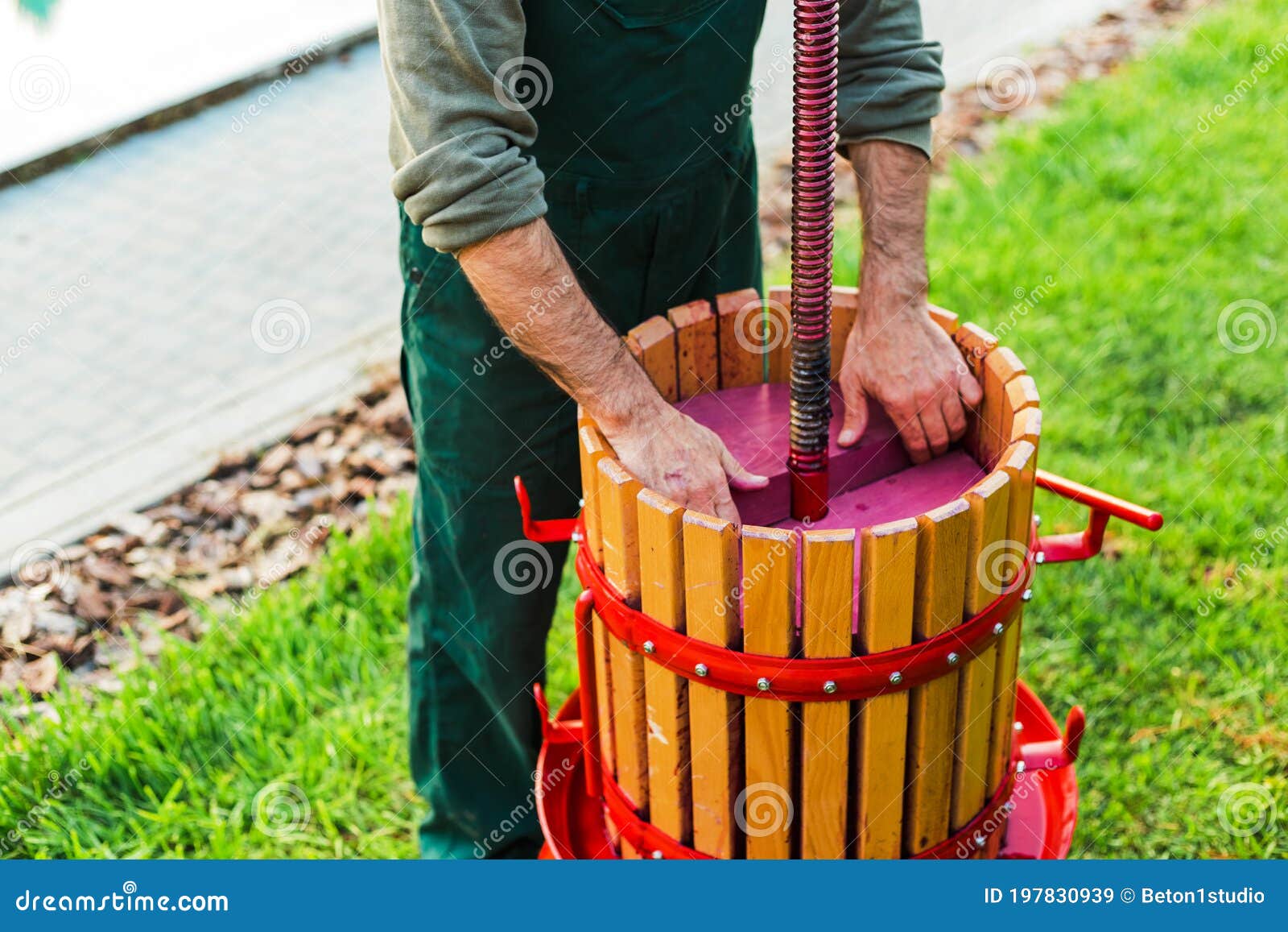 Winepress Machine.Young Man Making Wine Using Wooden Winepress Machine ...