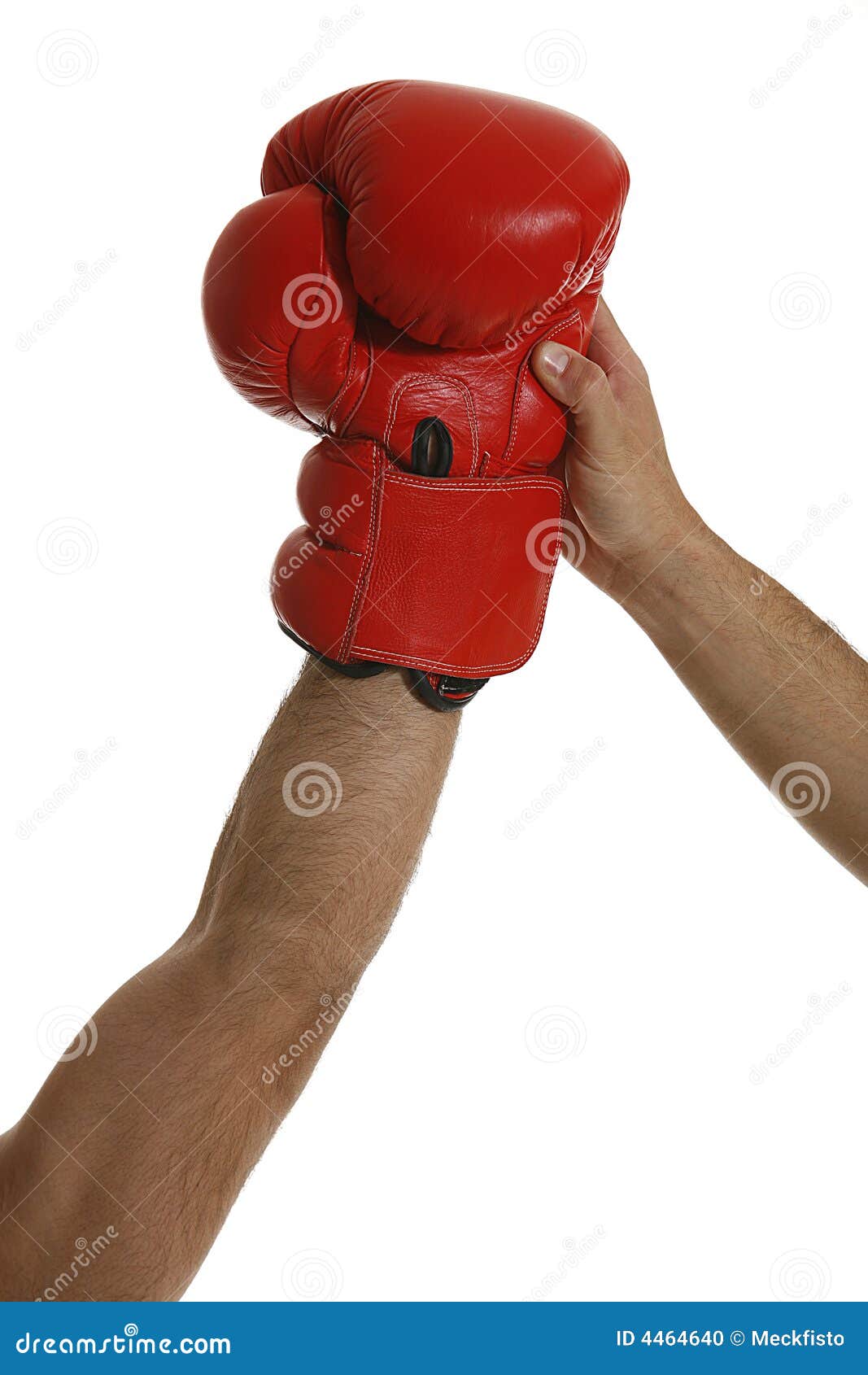 The winer stock photo. Image of isolated, celebration - 4464640