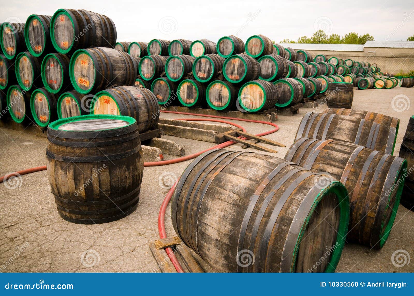 Winery stock photo. Image of alcohol, compartment, horizontal - 10330560