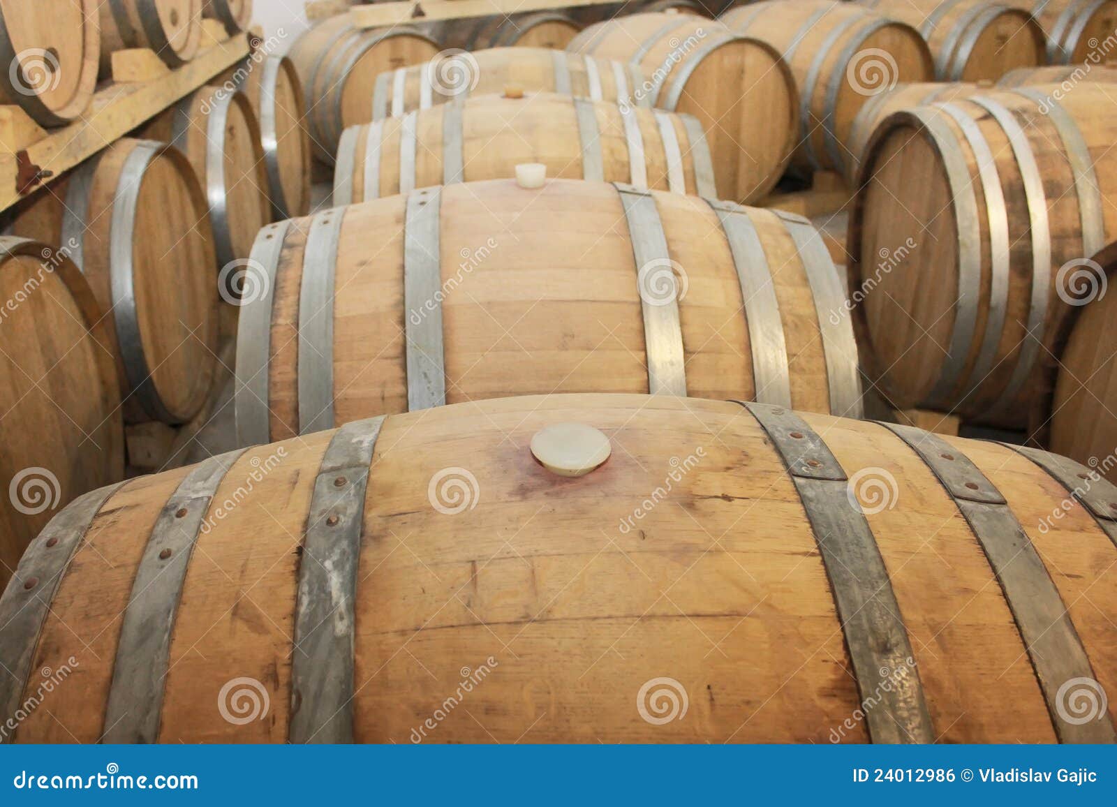 Winery stock photo. Image of perspective, indoor, selection - 24012986