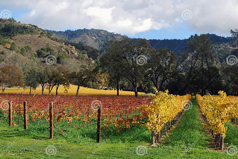 Winery in the autumn stock photo. Image of autumn, nature - 24109616