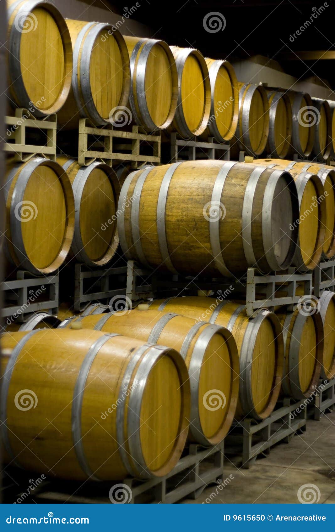 Winery Cellar Barrels stock photo. Image of making, cellar - 9615650