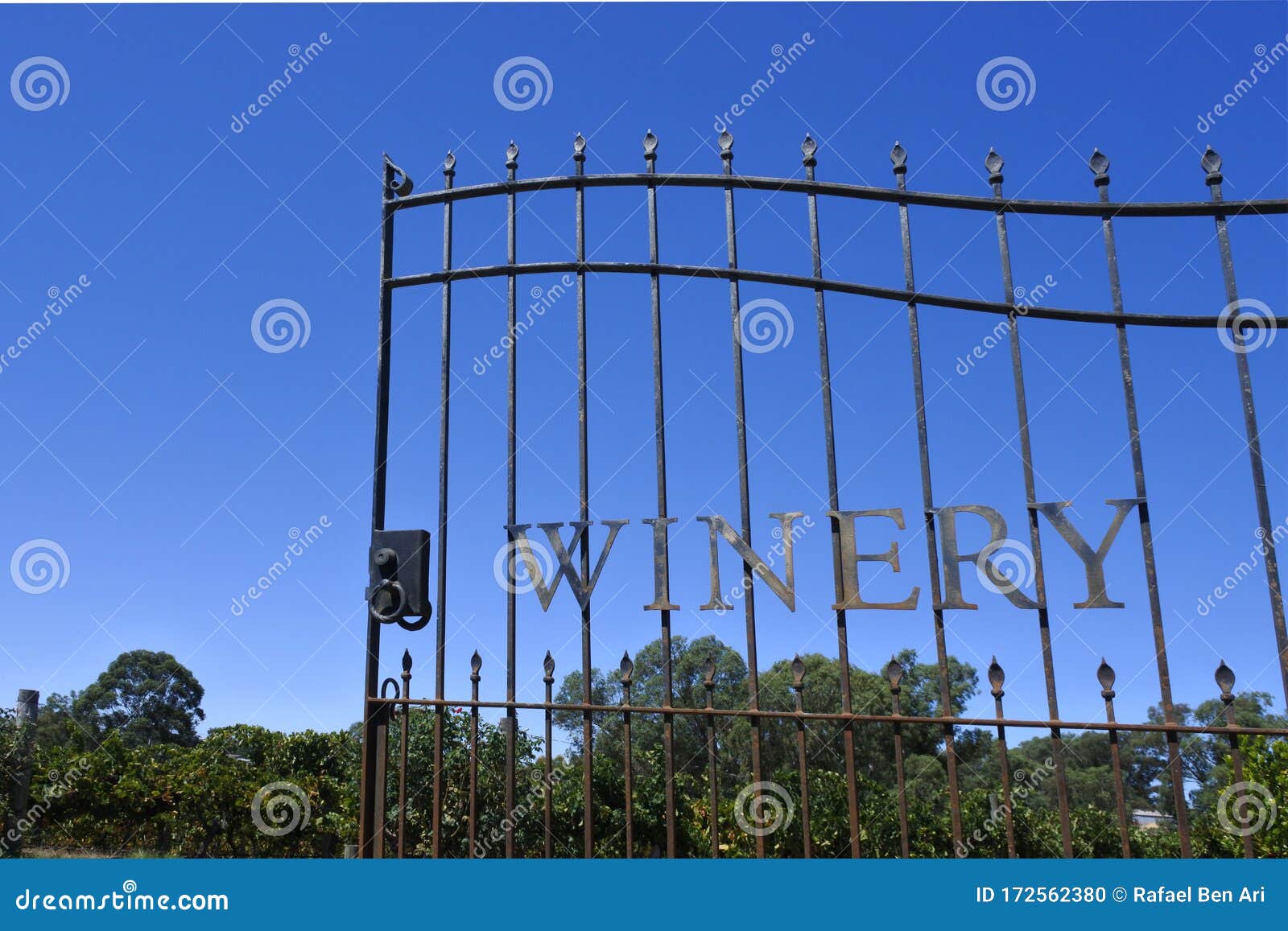 Winery Gate Opens into a Vineyard Under Clear Blue Sky Stock Photo ...