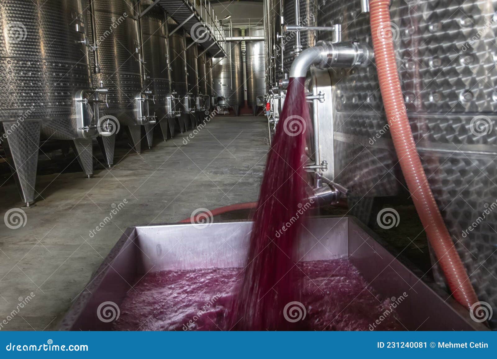 Grapes Pouring Wine In A Bottle Royalty-Free Stock Photography ...