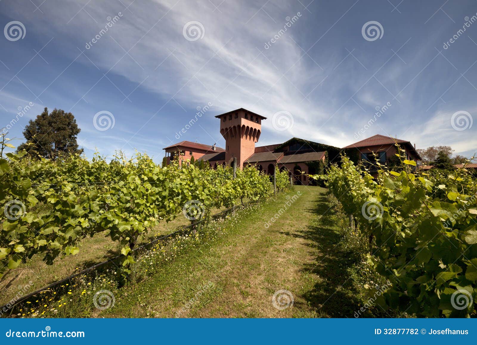 Unindentified Winery Stock Photos - Free & Royalty-Free Stock Photos ...