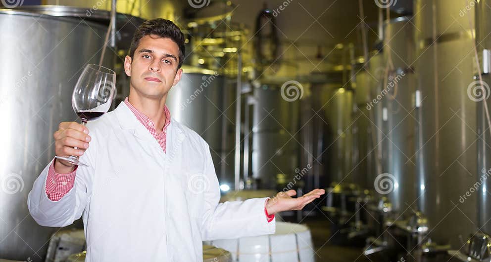 Winery Technician Posing with Wine Stock Photo - Image of alcohol ...