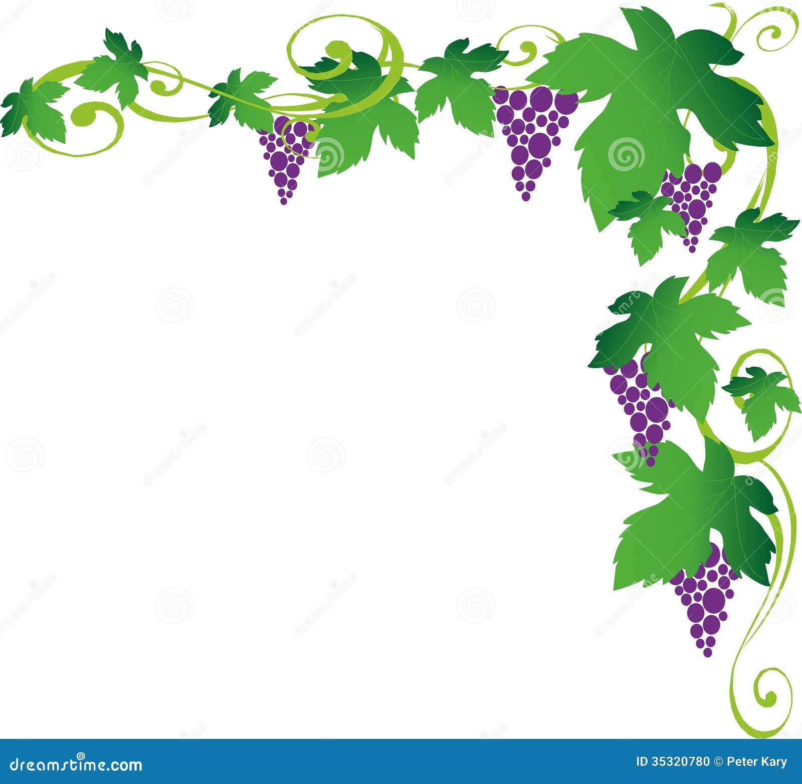Wine Grapes Border