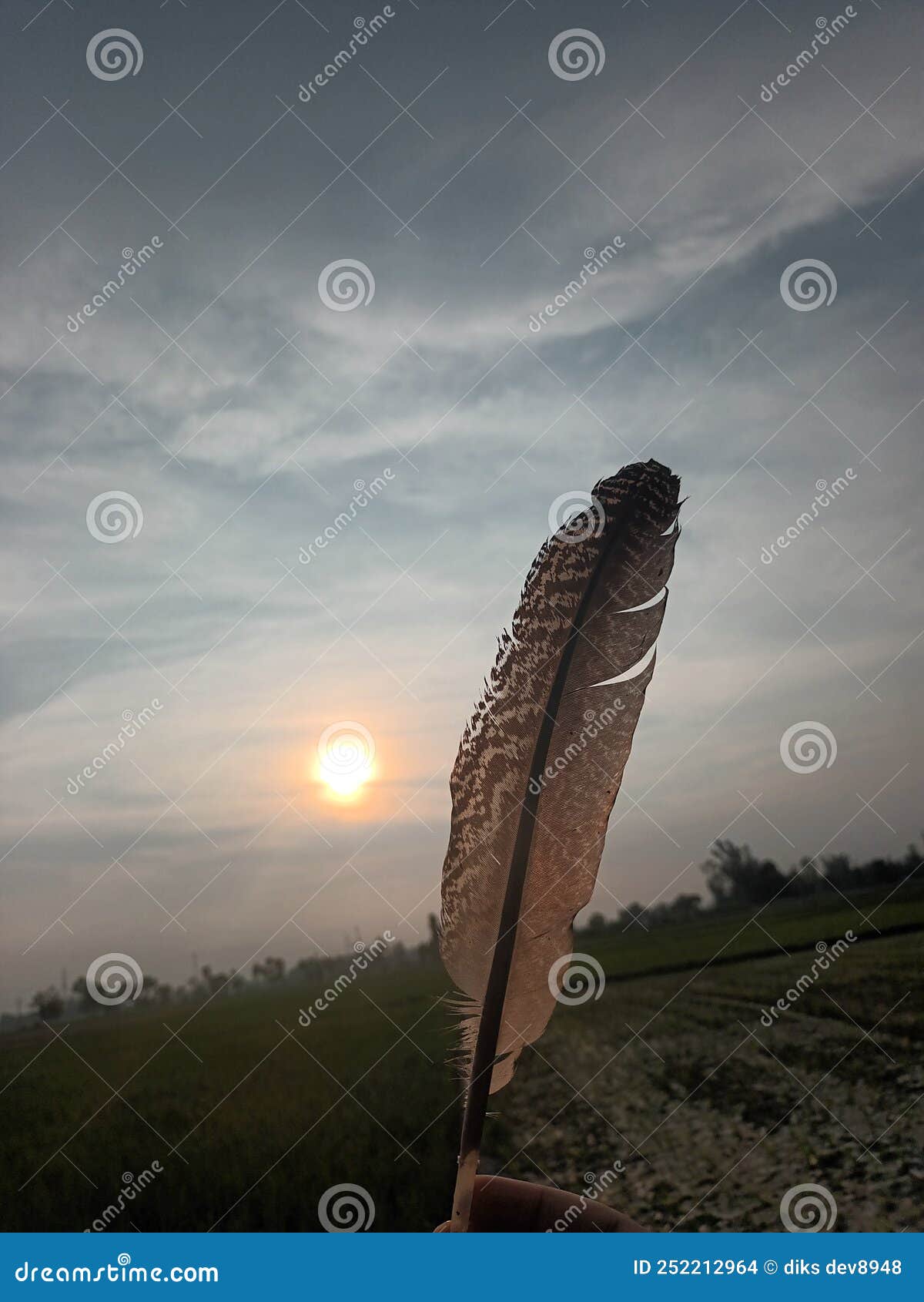 Wing of Bird with a Beautiful Sunset Scene Stock Photo - Image of ...