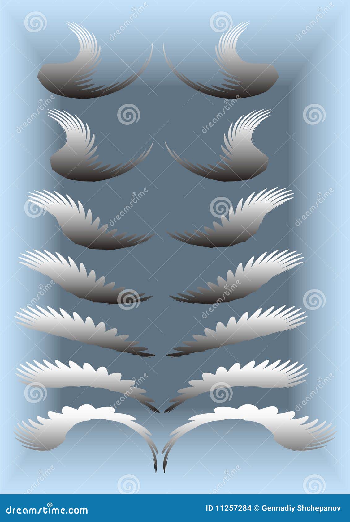 Wing wave stock vector. Illustration of amplitude, feather - 11257284