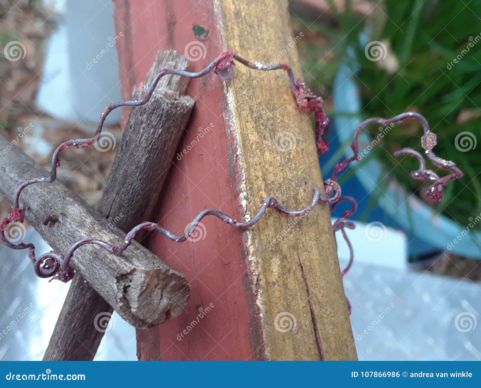 Wingdingd stock photo. Image of garden, wire, frame - 107866986