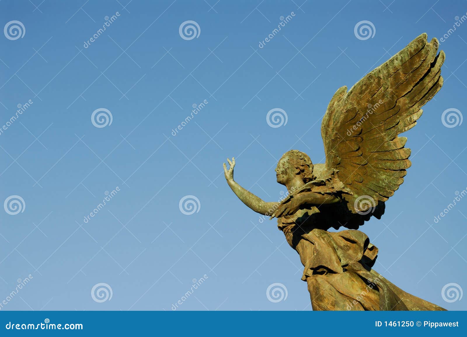 Winged angel stock photo. Image of space, sculpture, copy - 1461250