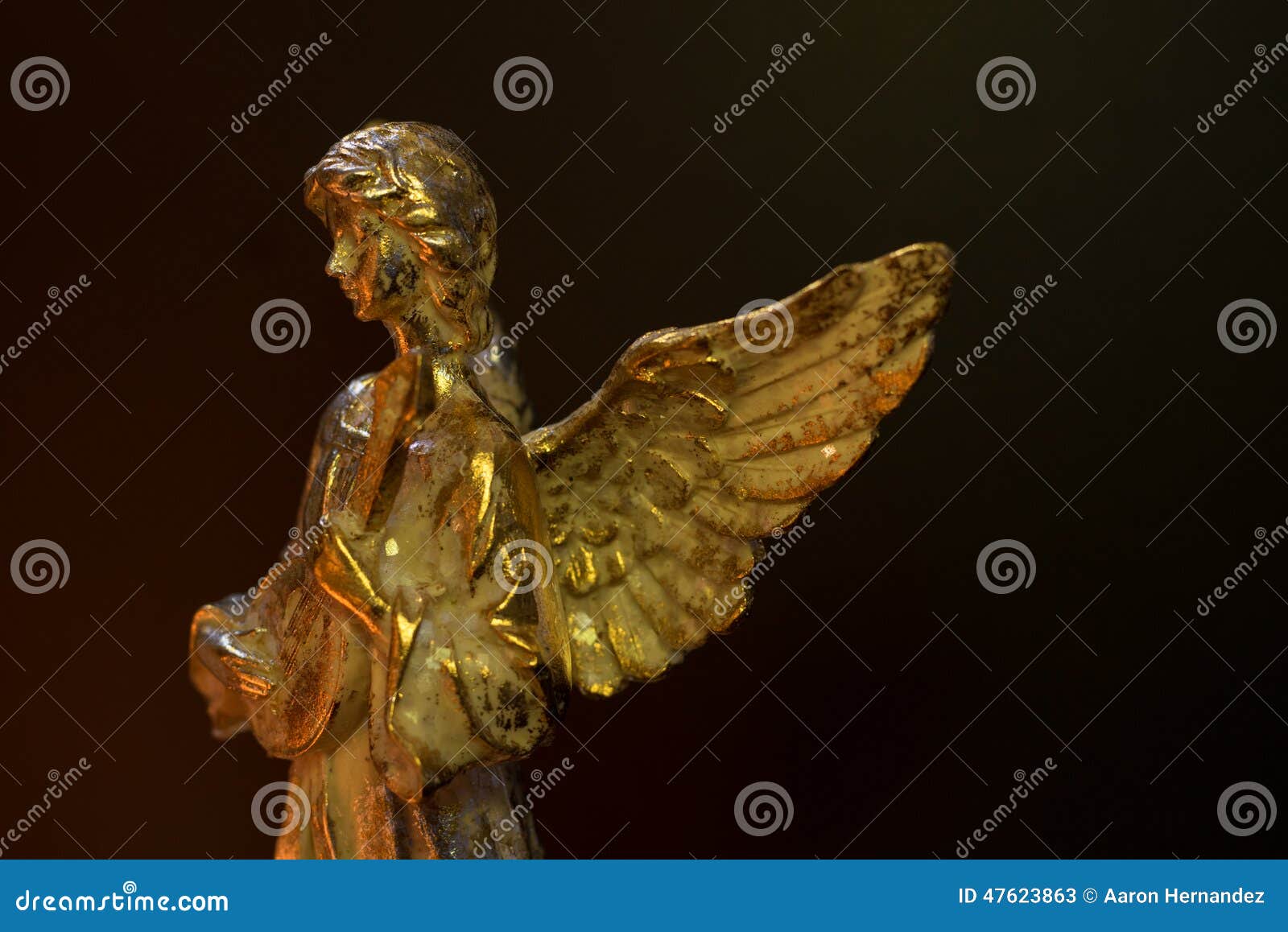 Winged Angel Playing Stringed Instrument Stock Image - Image of ...