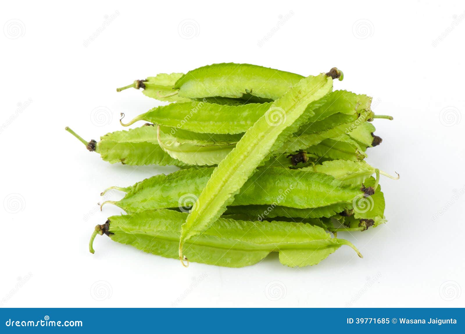Winged bean stock image. Image of stress, tetragonolobus - 39771685