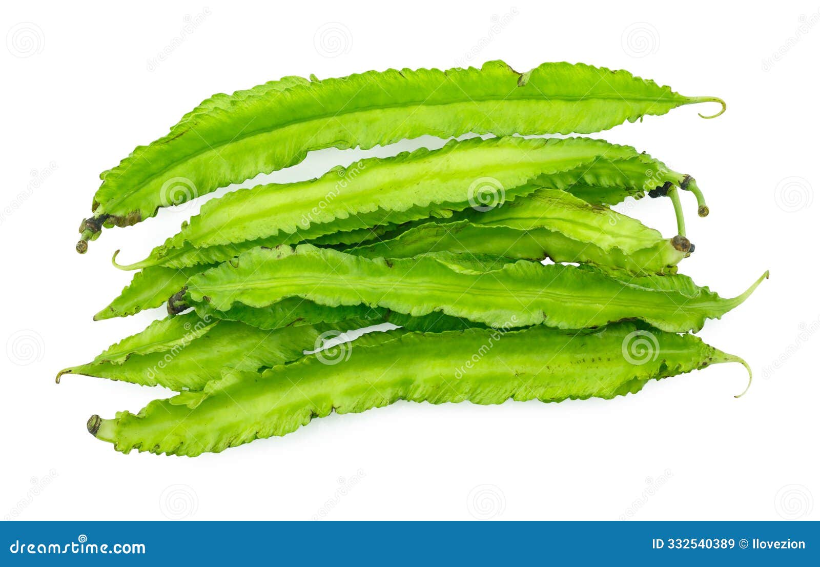 The Winged Bean,with Clipping Path,Winged Beans Contain Carbohydrates ...