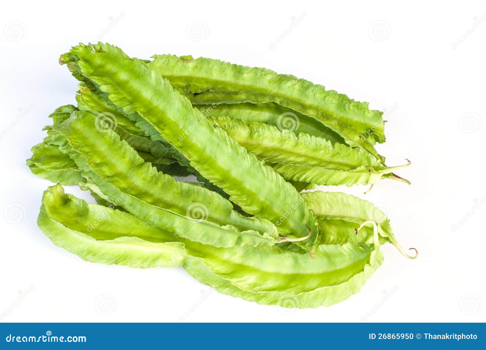Beans Of A Winged Bean, Psophocarpus Tetragonolobus Royalty-Free Stock ...